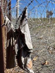A Trip to the Border | MyLO
